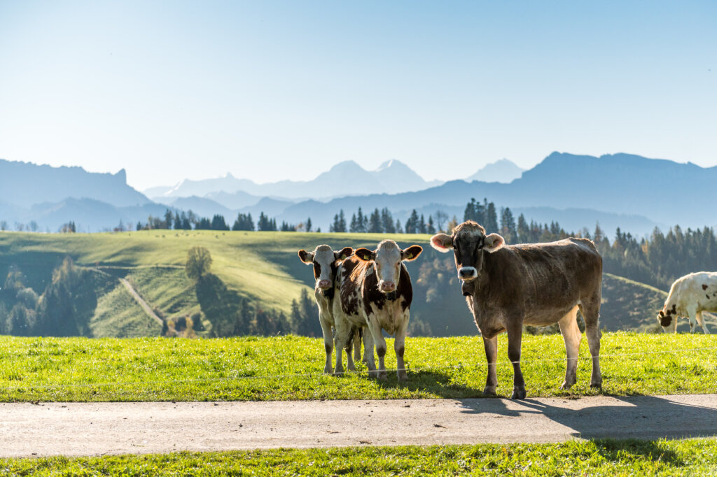 20191026 Trub Herbst 116